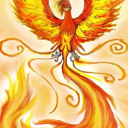 Szkice tatuażu feniks - VeAn Poland