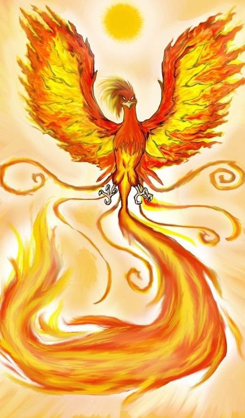 Szkice tatuażu feniks - VeAn Poland