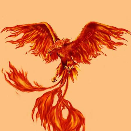 Szkice tatuażu feniks - VeAn Poland