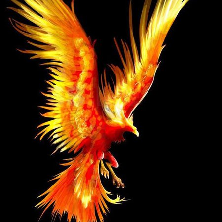 Szkice tatuażu feniks - VeAn Poland