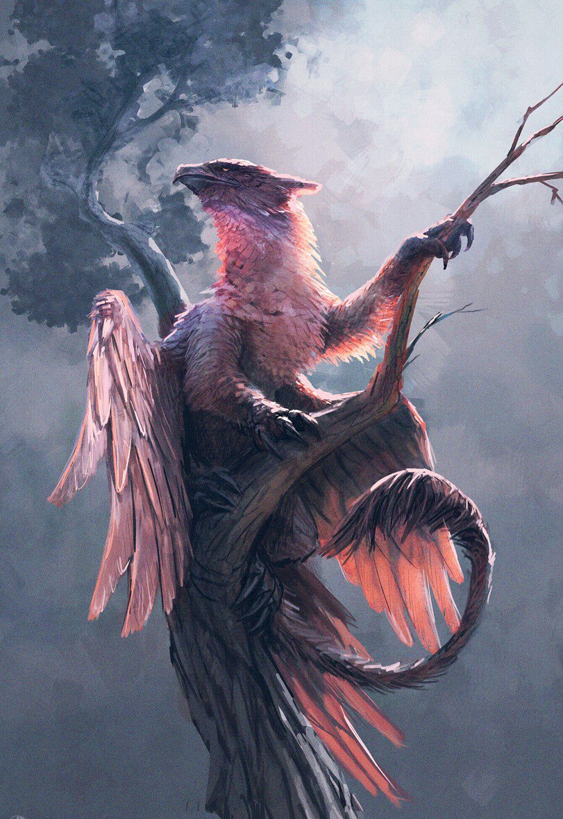 Tatuaż gryf - VeAn Poland