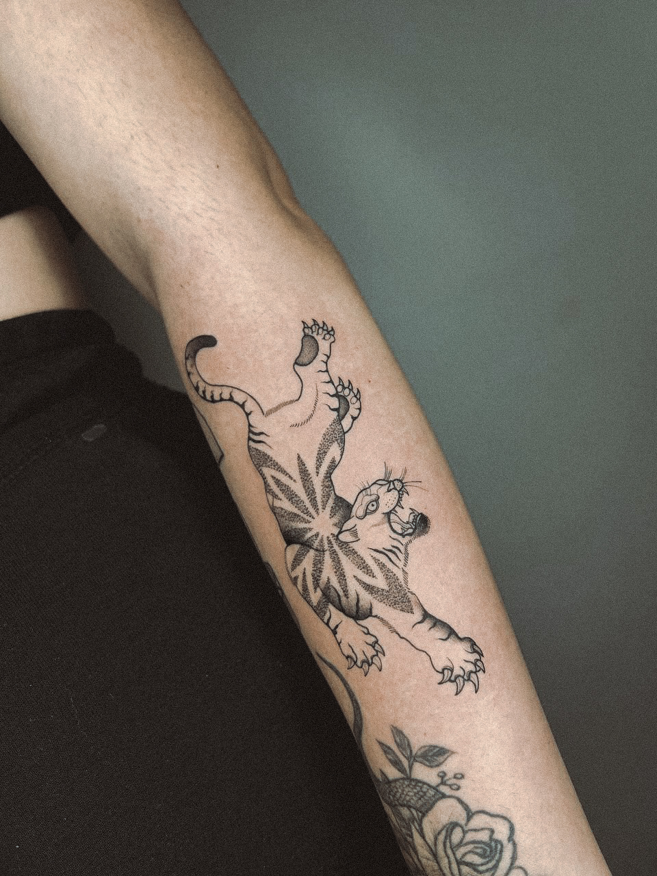 Portfolio Vean - VeAn Poland